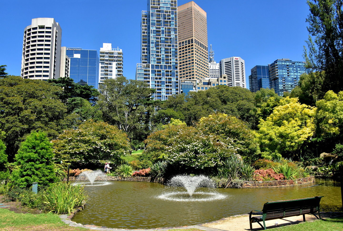 Treasury Gardens in Melbourne, Australia - Encircle Photos
