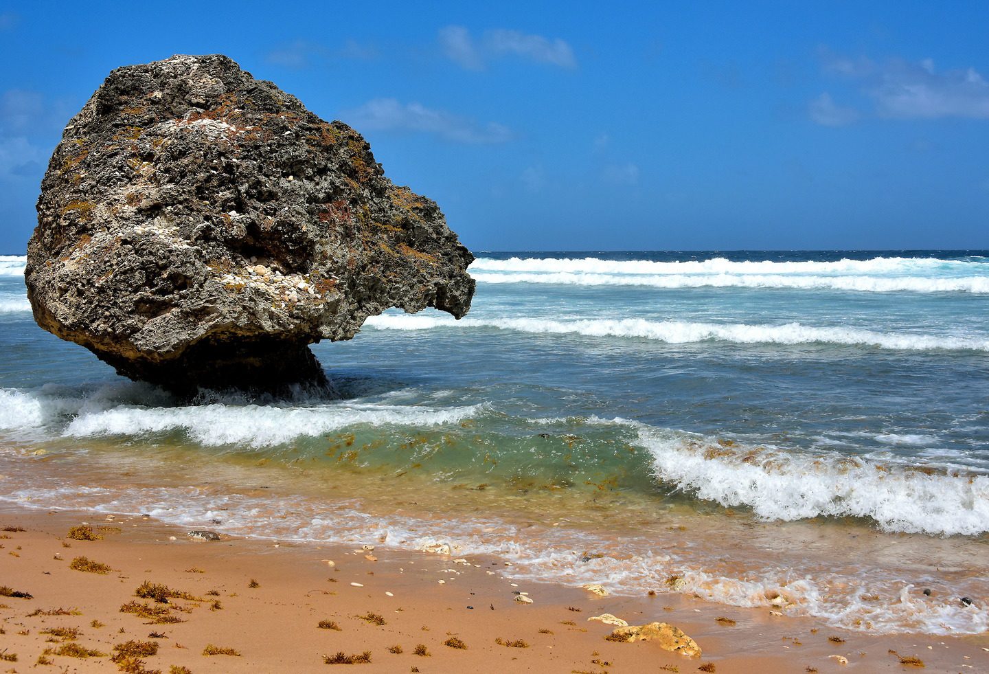 Mushroom Shaped Rock on Bathsheba Beach in Bathsheba, Barbados ...