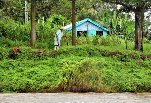 Amazon Rainforest, Manaus, Brazil Travel Guide - Encircle Photos