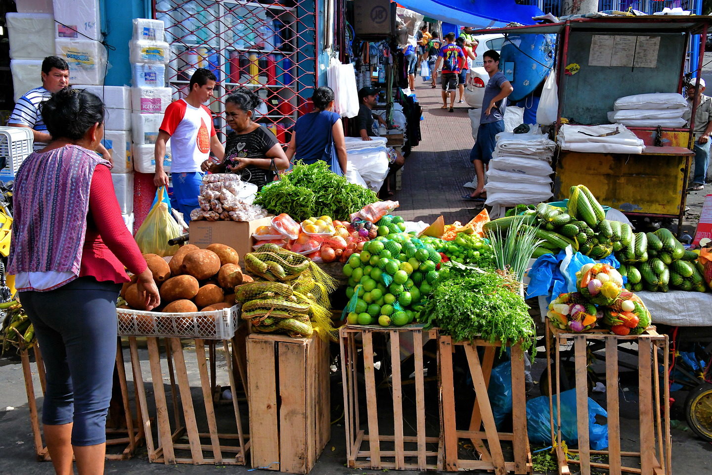 Produce Stand at Feira da Manaus Moderna in Manaus, Brazil - Encircle ...
