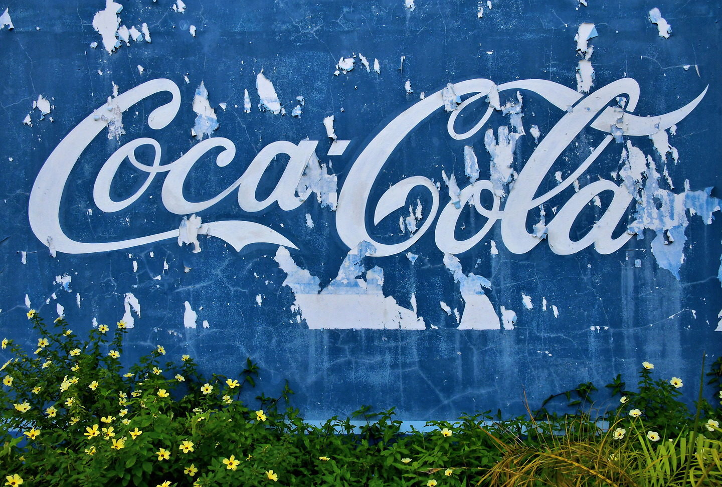 Coca Cola Brasil Logo