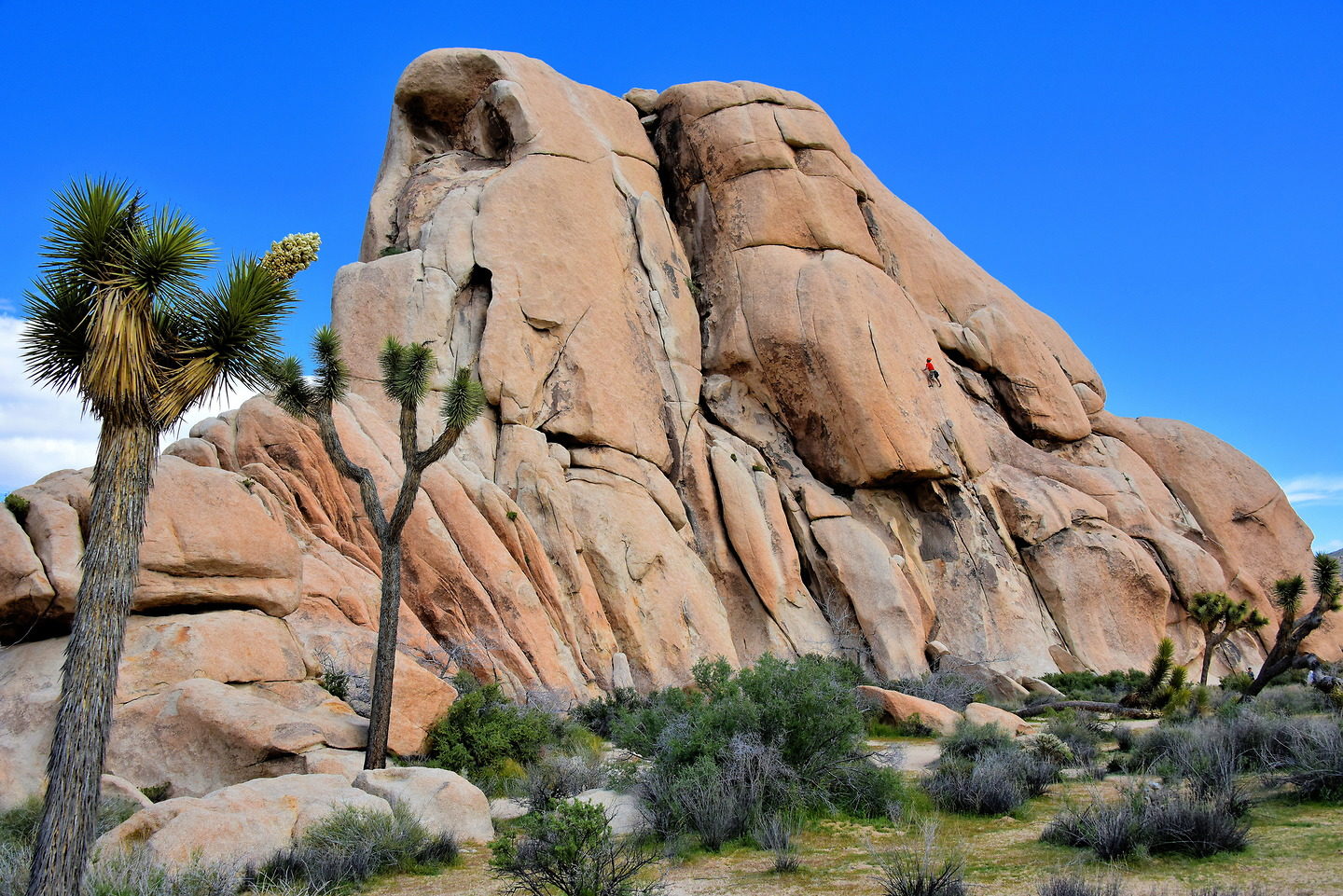 South Face of Intersection Rock at Joshua Tree Park, California ...