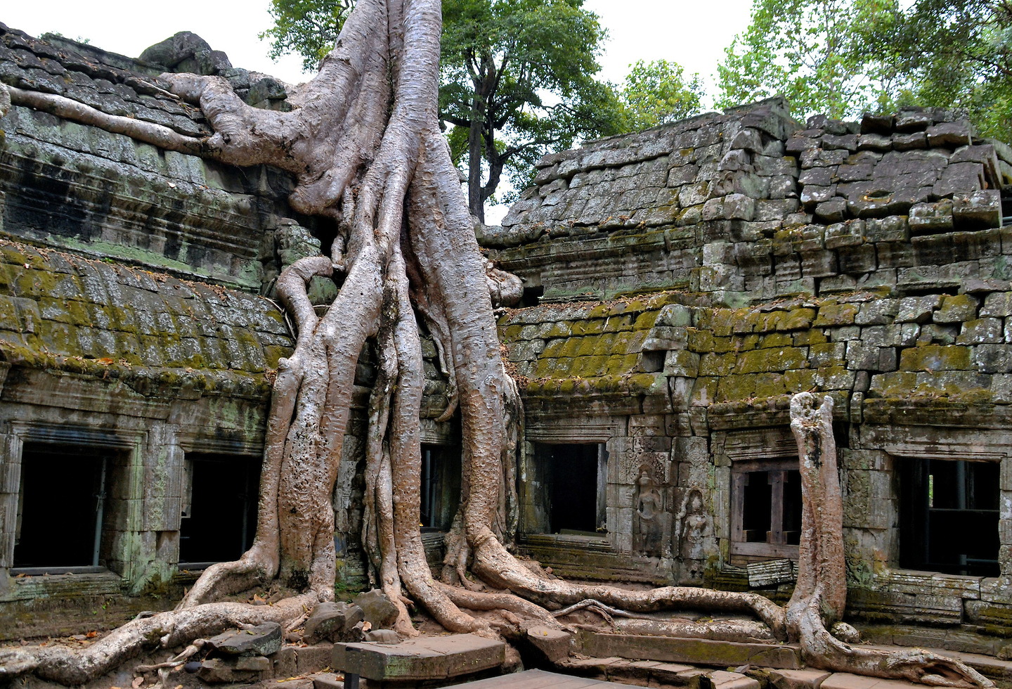 Ta Prohm Temple
