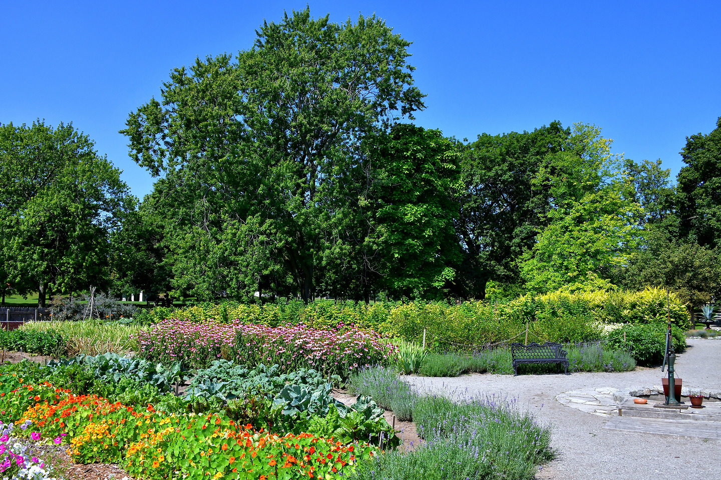 Kitchen Garden at Dundurn Castle in Hamilton, Canada - Encircle Photos