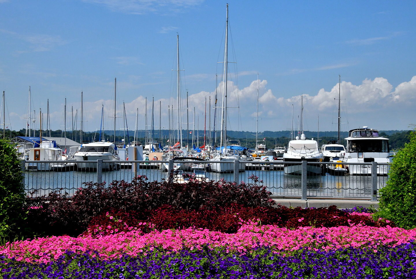 Harbour West Marina along Pier 7in Hamilton, Canada - Encircle Photos