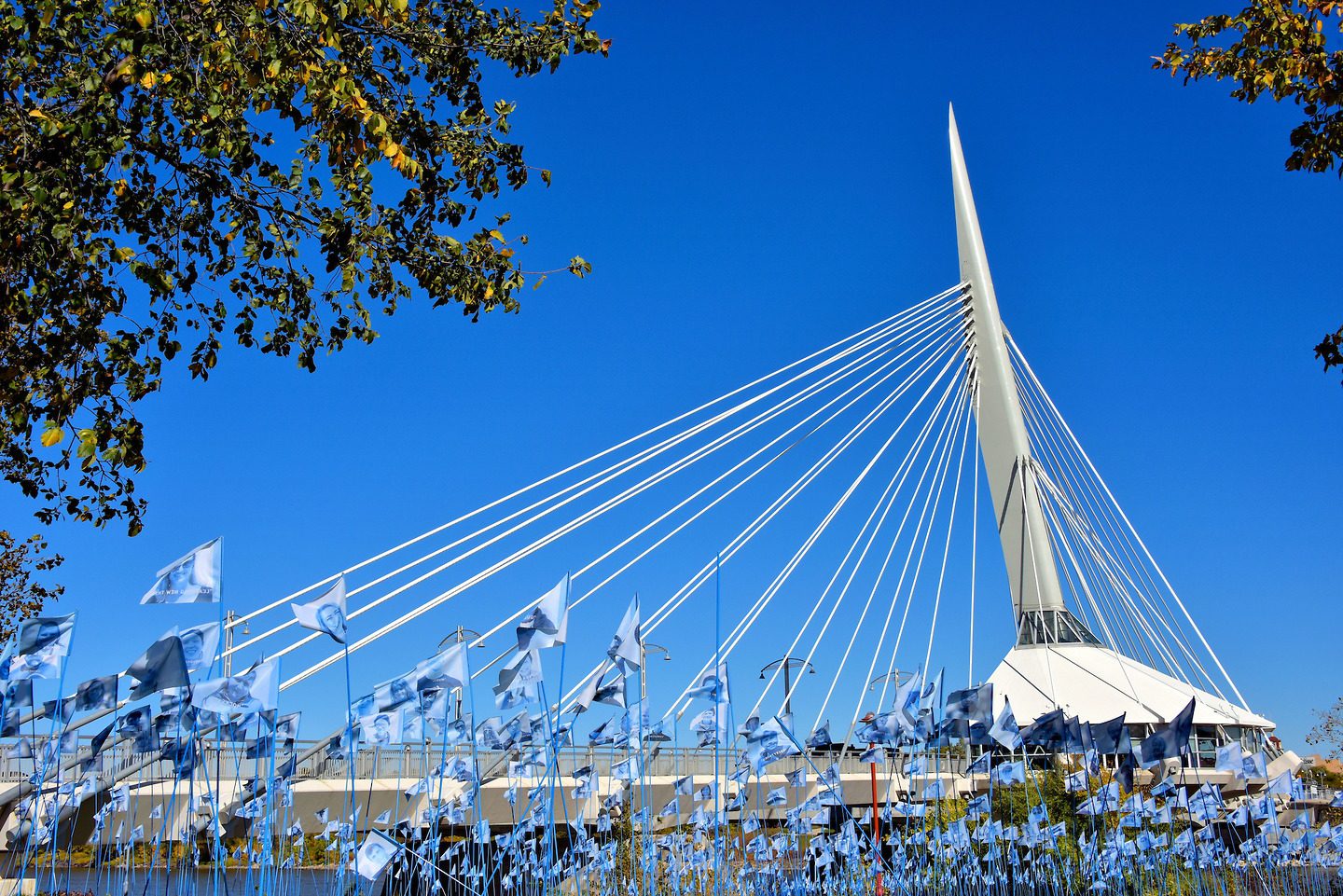Esplanade Bridge Winnipeg