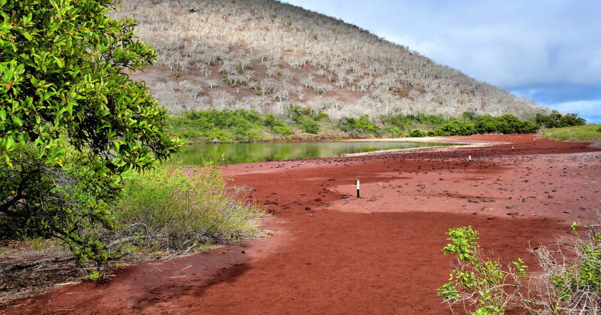 Saltwater Lagoon on Rábida Island in Galápagos, EC - Encircle Photos