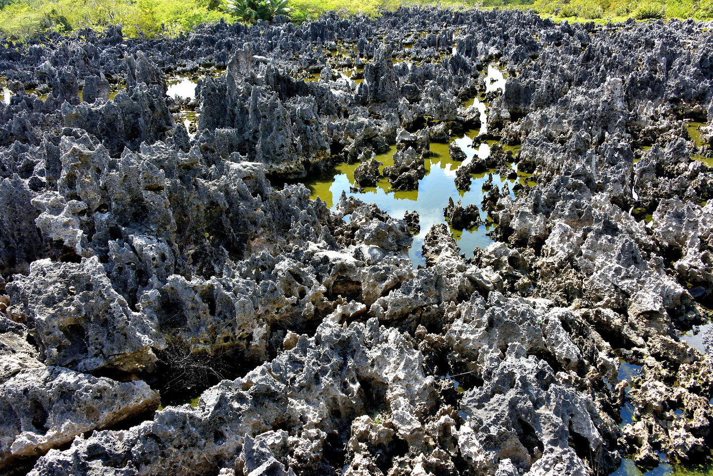Limestone Rock Formations at Hell in West Bay, Grand Cayman - Encircle ...
