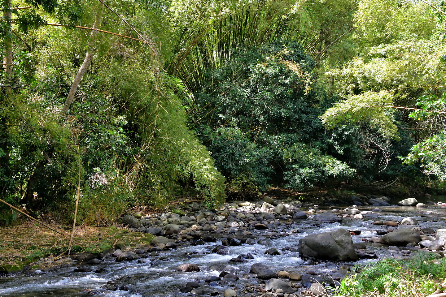 Balthazar River in Saint Andrew Parish, Grenada - Encircle Photos