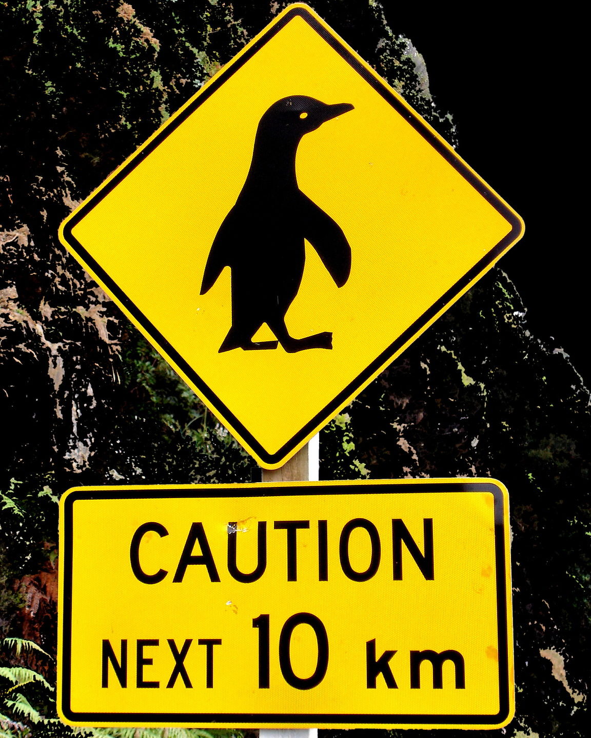 Penguin Crossing Sign near Punakaiki, New Zealand - Encircle Photos