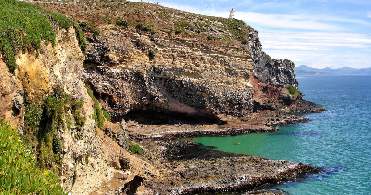 Taiaroa Head on Otago Peninsula near Dunedin, New Zealand - Encircle Photos