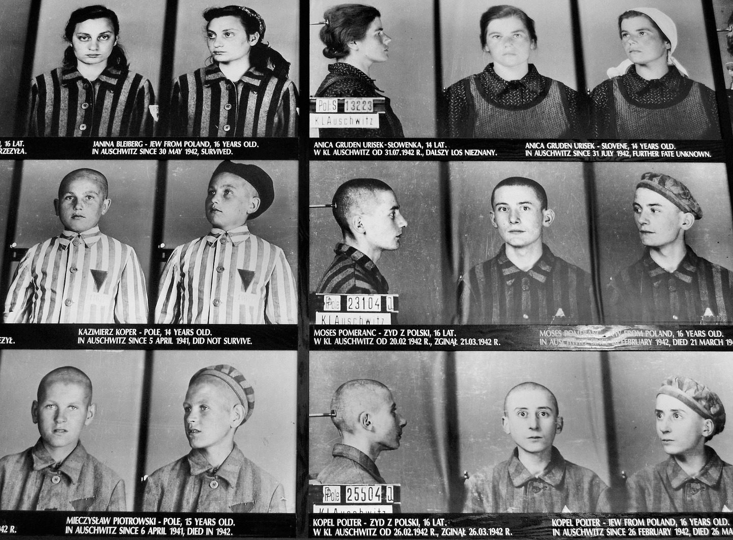 Prisoners Identification Photos at Auschwitz I Concentration Camp in ...