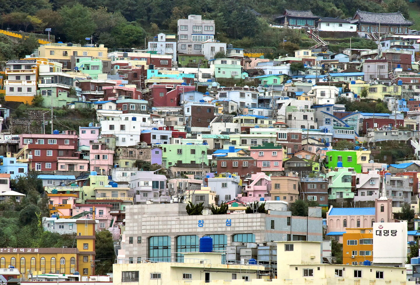 Colorful Buildings on Yeong Island in Busan, South Korea - Encircle Photos