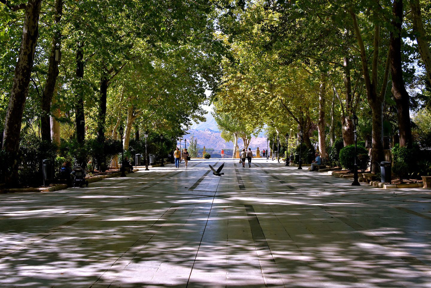 Alameda Park in Ronda, Spain - Encircle Photos