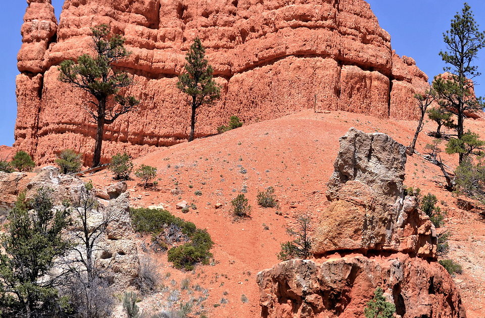 Plenty of Trails in Red Canyon, Utah - Encircle Photos