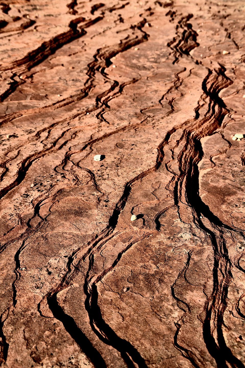 Erosion Lines in Cliff at Zion National Park, Utah - Encircle Photos